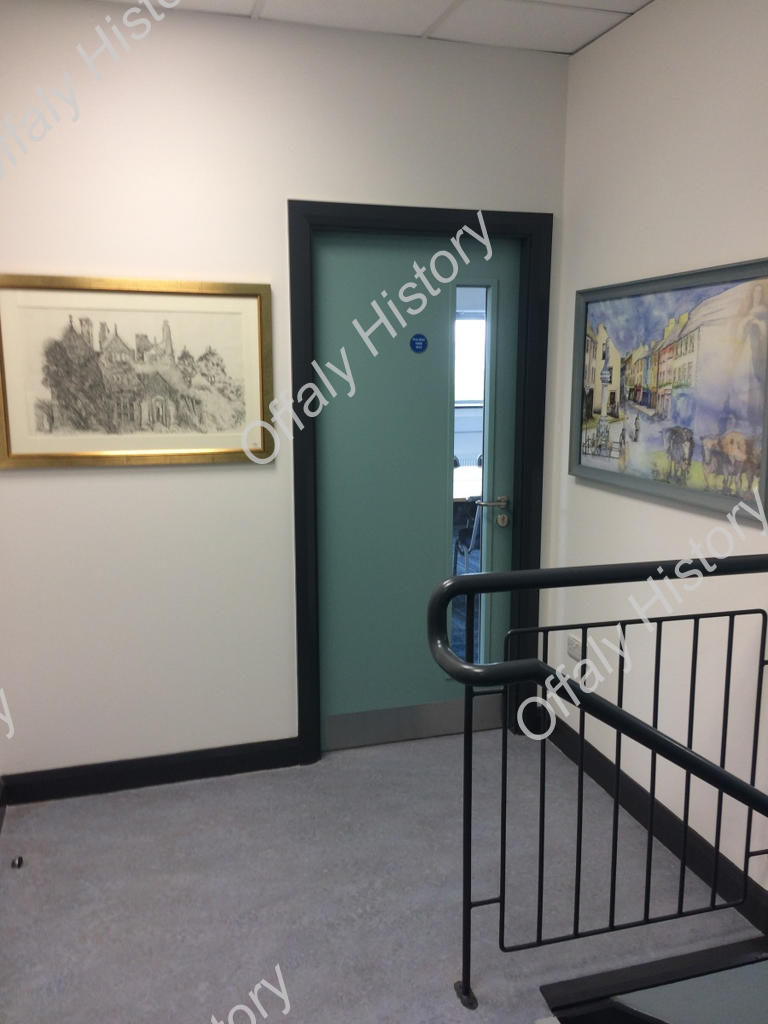 FAITHFUL IMAGES: Offaly through the eyes of artists. Fergal MacCabe ...