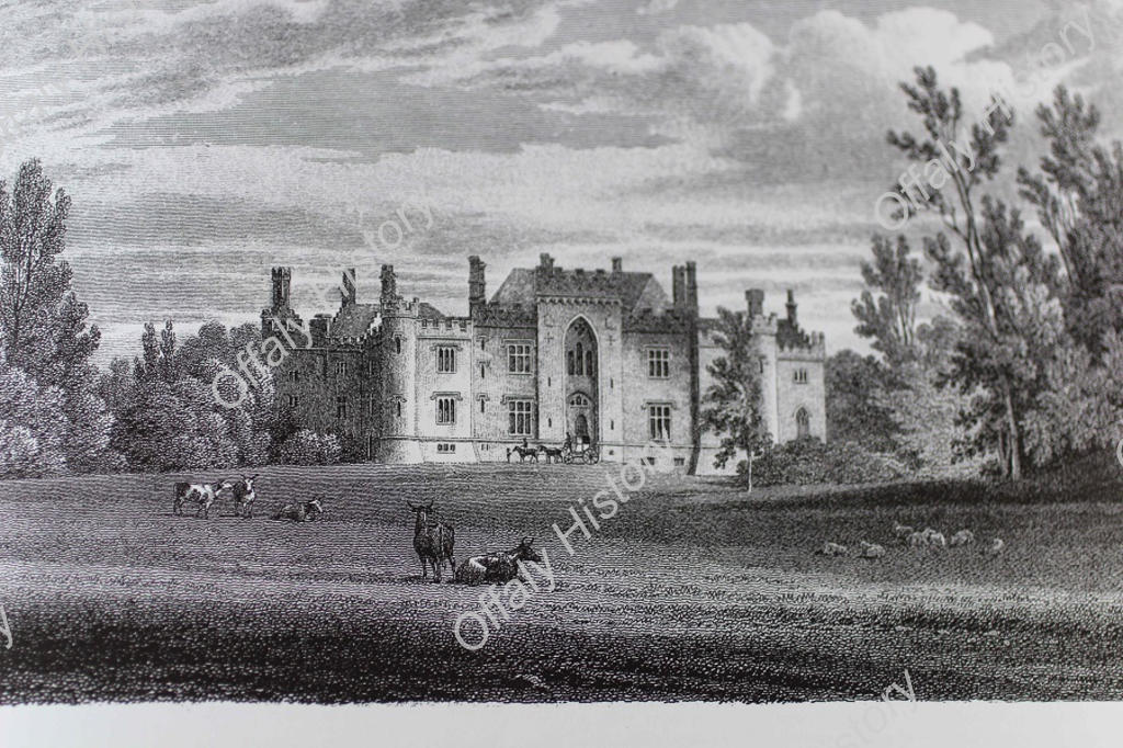 FAITHFUL IMAGES: Offaly through the eyes of artists. Fergal MacCabe ...