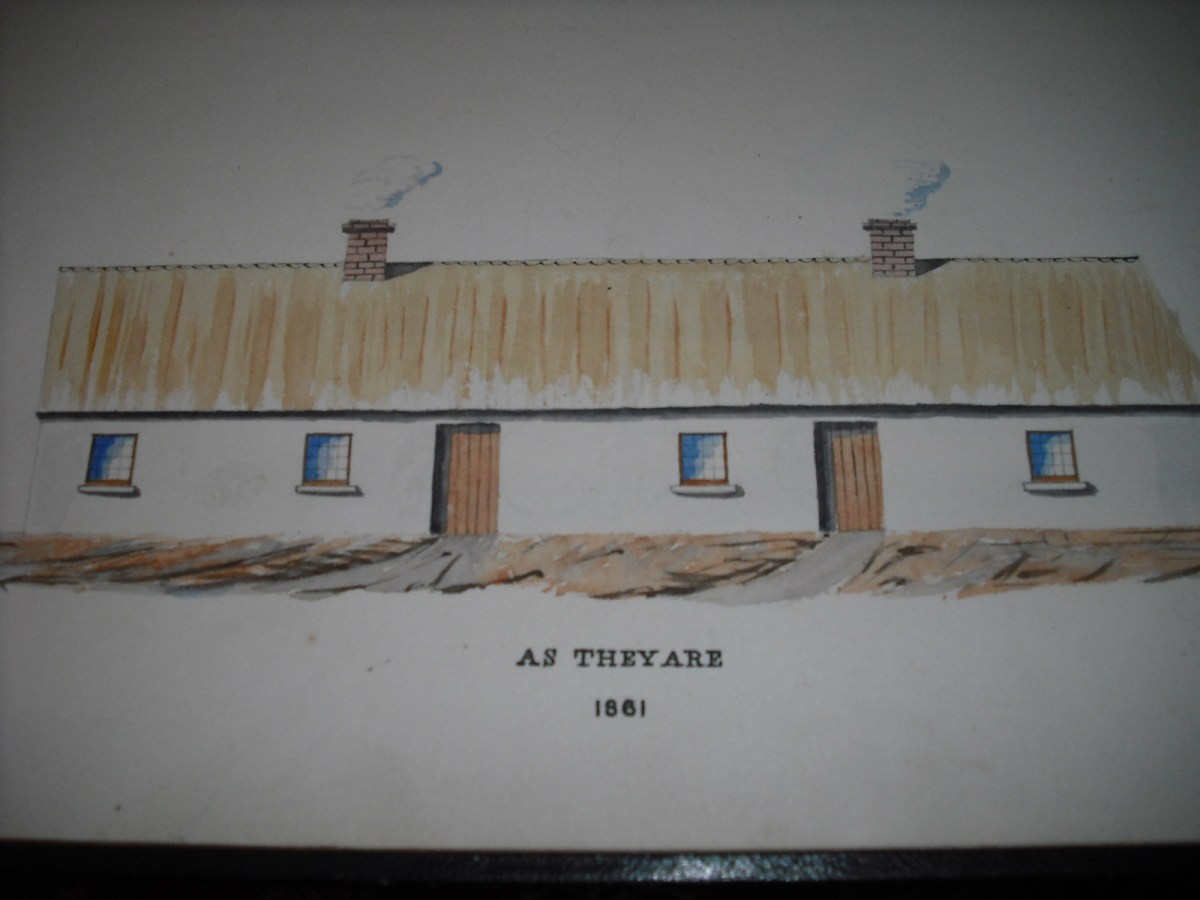 Geashill and the Legacy of William Steuart Trench, 150 years after his ...