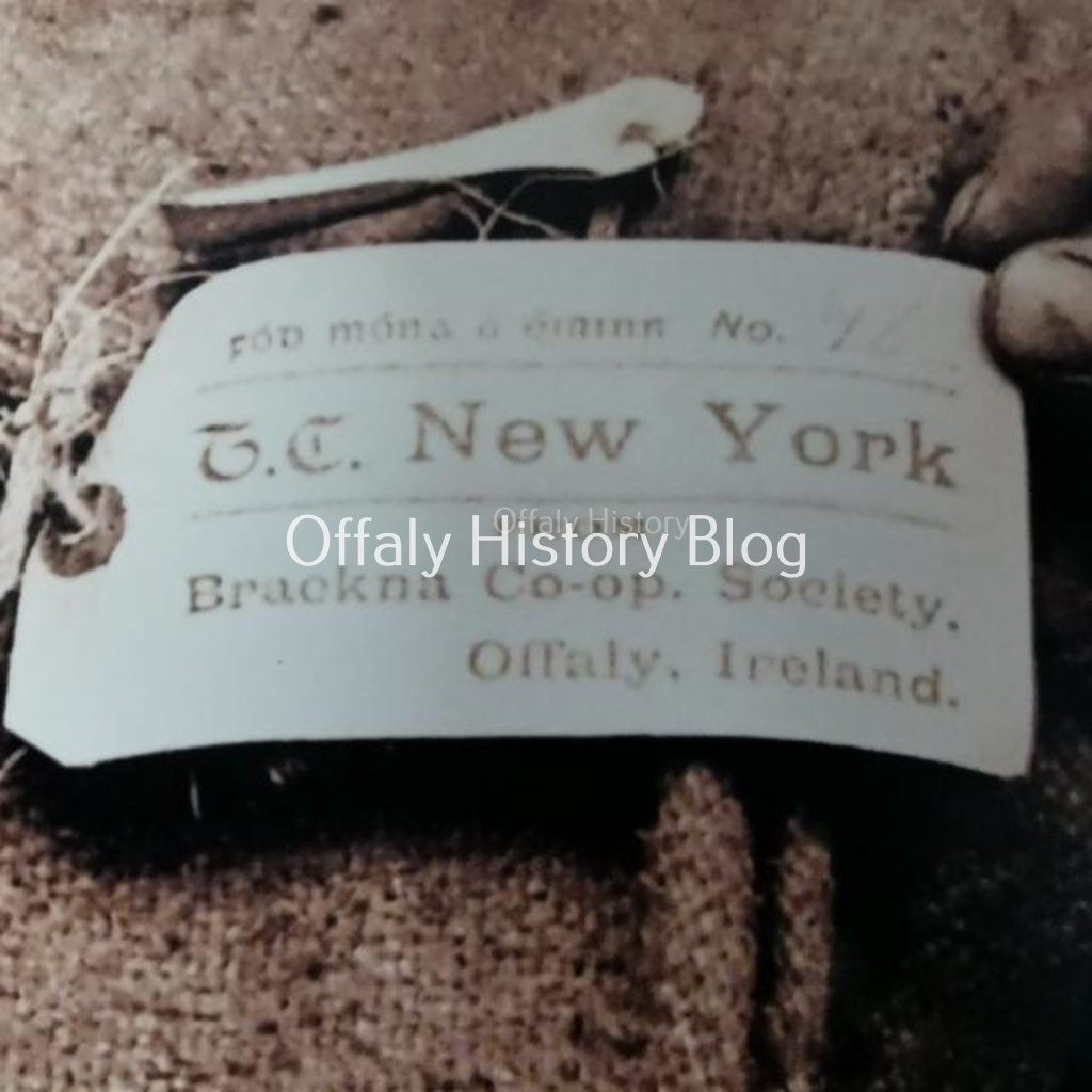 Bracknagh Village, County Offaly, 1900–1930. By Mary Delaney ...
