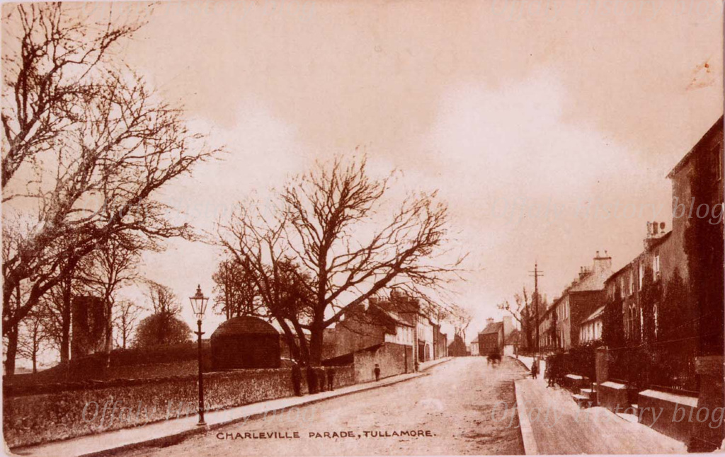 8 Families of Cormac Street, Tullamore in the early 1900s. All was ...