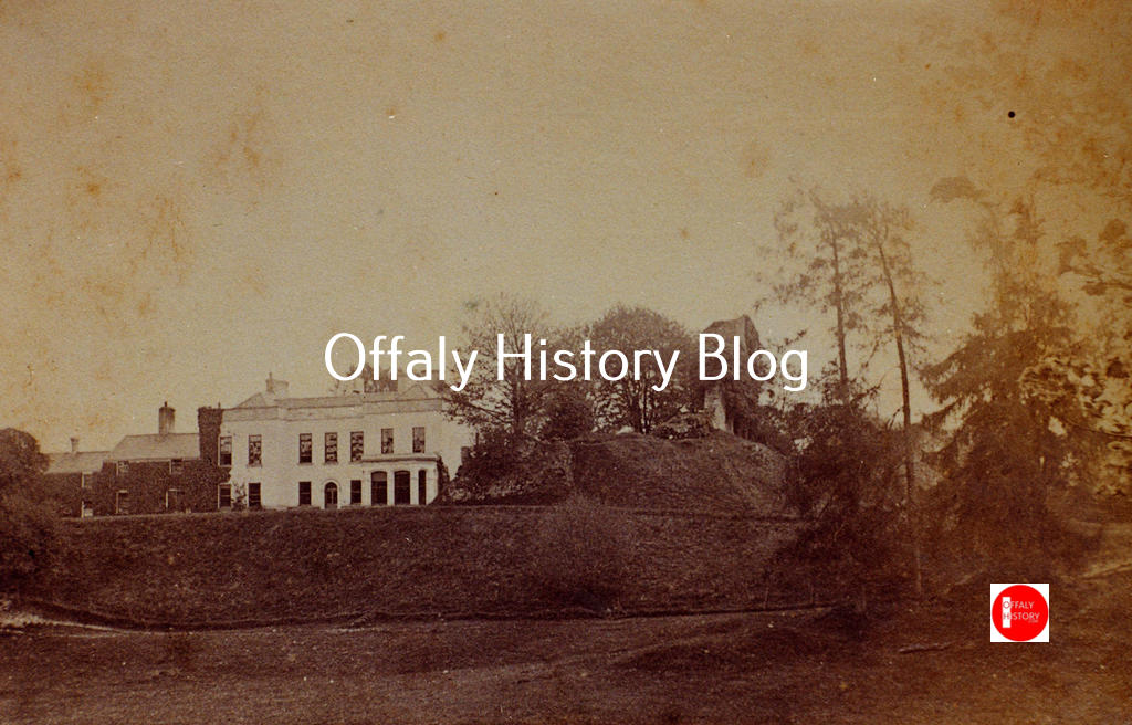 18 Reflections of a rambler to Geashill and its railway station in ...