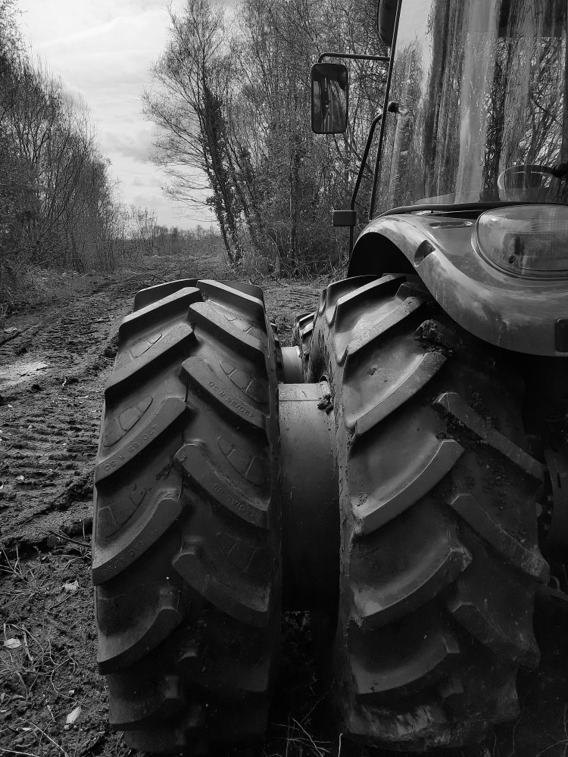 TRANSITION: Irish peatlands in a changing climate. A new photographic ...